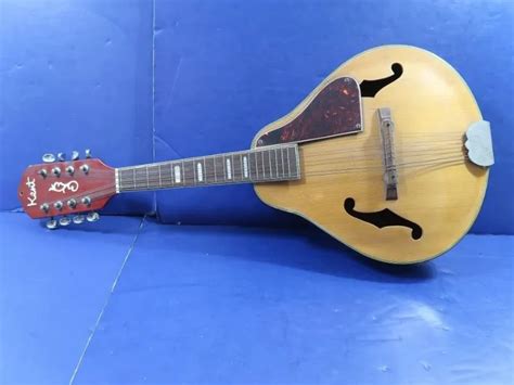 Top 15 Best 10 String Mandolin Reviews And Comparison 2023