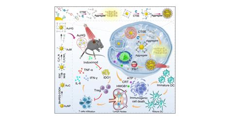 Engineering Aiegens Tethered Gold Nanoparticles With Enzymatic Dual
