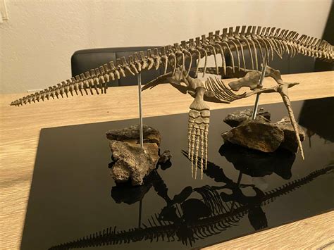 Obj File Elasmosaurus Skeleton Part 2 💀 ・3d Printing Design To Download・cults