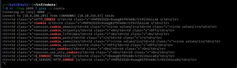 try hack me basic pentesting walkthrough by joão marcelo infosec