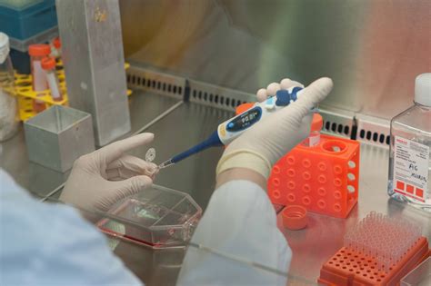 Deciphering The Polymerization Cycle Of A Bacterial Actin Like Protein