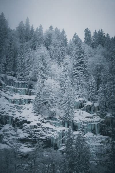 Winter Tumbex