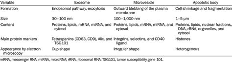 Classification Of Extracellular Vesicles Download Scientific Diagram