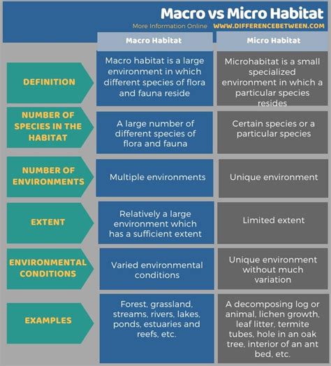 Difference Between Macro And Micro Habitat Compare The Difference