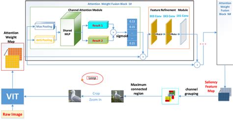 An Overview Of Discriminative Region Proposing An Attention Weight