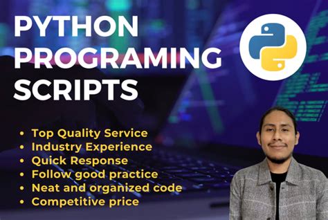 Write Your Python Programming Scripts By Alonsodimak Fiverr