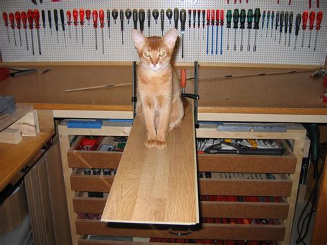 Full Size Cat Scratching Climbing Post 7 Steps Instructables
