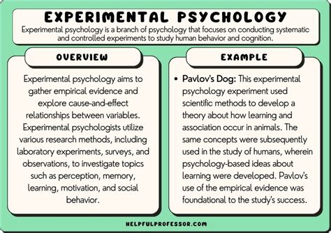 Experimental Psychology 10 Examples And Definition 2024