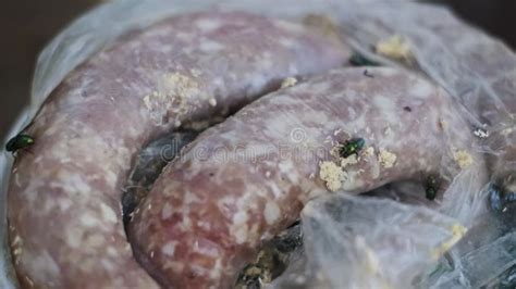 Maggots Infesting Spoiled Sausages Stock Footage Video Of Infestation