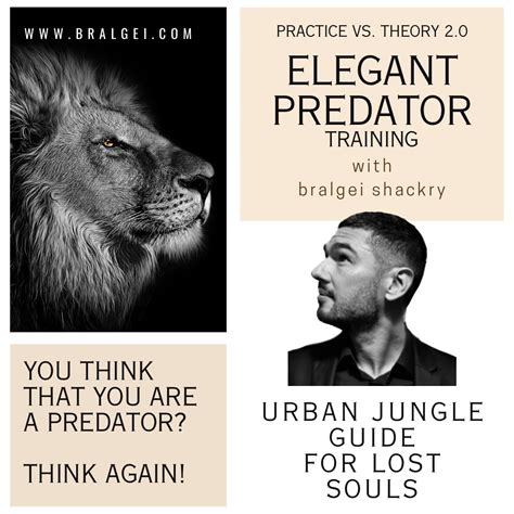 Private Practice Vs Theory 20 The Elegant Predator