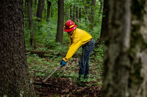 Working In Nature Starts Here Division Of Forestry Internship Program