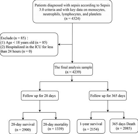 The Association And Prognostic Value Of Systemic Inflammator Medicine
