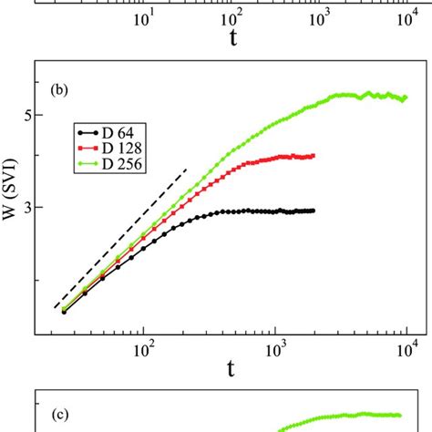 Color Online Log Log Plots Of The Interface Width W Versus Time As