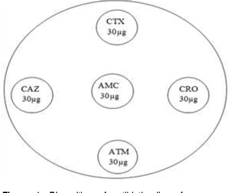 Figure 1 From Effectiveness Of Temocillin On Extended Spectrum Beta Lactamase Producing