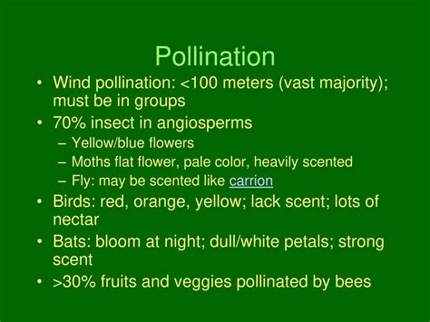 Angiosperms Anthophyta Ppt Download