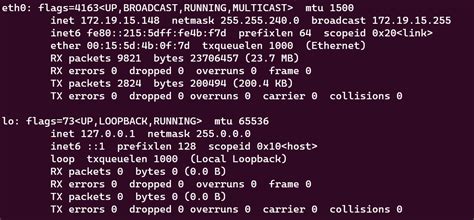 Windows Subsystem For Linux How Can You Access Net Applications On