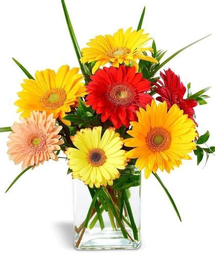 A Vase Filled With Lots Of Different Colored Flowers