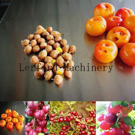 China Commercial Cherry Pitter Suppliers Factory Low Price Commercial
