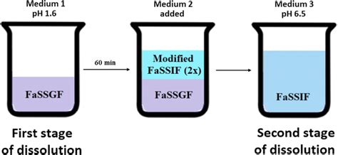 Schematic Of The Two Stage Dissolution Experiments Download