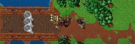 Tibia Inspired Mmo Ravendawn Launches Today Without The Nfts Of Its Sister Game Massively