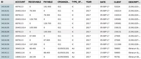 Real Dataset Containing Vital Accounting Data Download Scientific Diagram