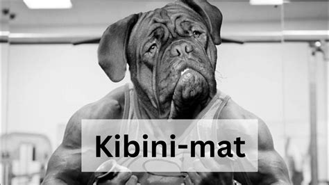 Hebrew Slang Kibini Mat Youtube