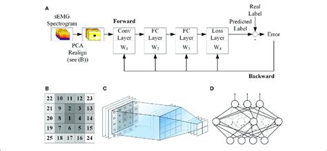 Schematic Of The Proposed Cnn Classification A Semg Is Segmented Download Scientific