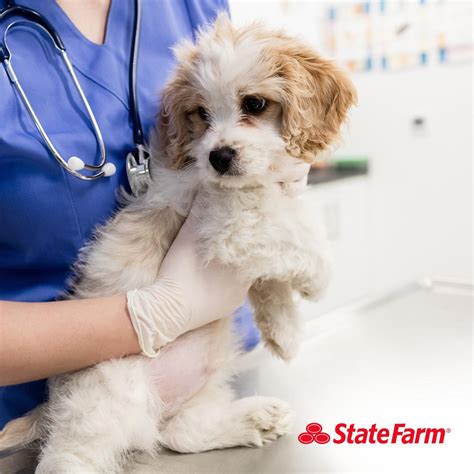 Brandy Farrow State Farm Insurance Agent Home