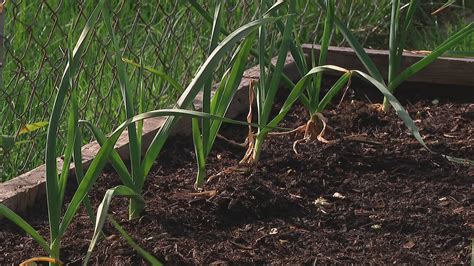 Interested In Composting Heres How You Can Get Started