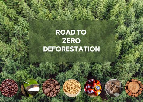 Road To Zero Deforestation Whats Next