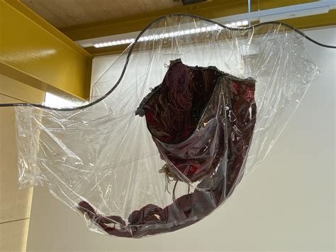 Lou Baker Parts Of Me 2021 By Lou Baker Issuu