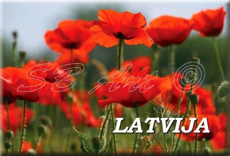 Lieliski Suvenīri Latvijai