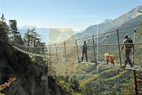 درمان فوبیا، علائم فوبیا و زمان مراجعه به مشاوره کلینیک روانشناسی دل