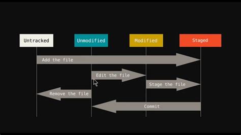 I Learned How To Push Code From The Git Bash Terminal To Github Using Different Commands Code