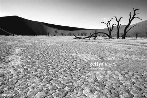 Zeger Photos And Premium High Res Pictures Getty Images