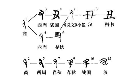 细说汉字：丑甲骨文