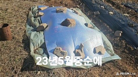 감자저장 석기시대 간단 저장하기 Youtube