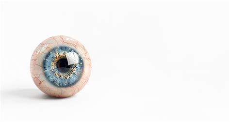 Iris Oeil Png Photos Téléchargez Gratuitement Des Images De Haute Qualité Freepik