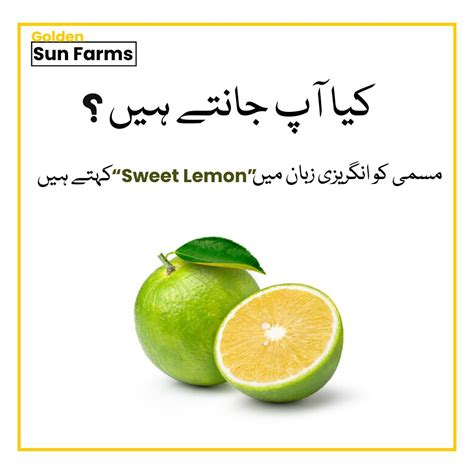 What We Called Musami In English Goldensunfarms