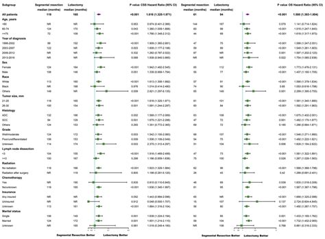 Subgroup Analyses By Age Year Of Diagnosis Sex Race Tumor Size