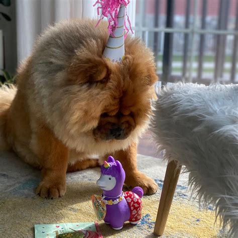 Leo And Gary Leo And Gary Added A New Photo — At