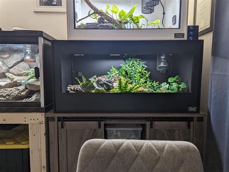 Upgraded My Ball Pythons Tank Rballpython