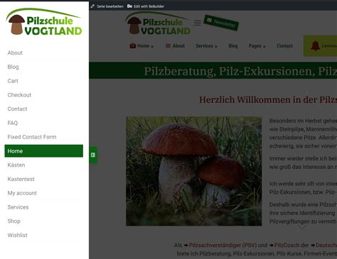 Edit Design Of Menu In Off Canvas Sidebar Betheme Support Forum