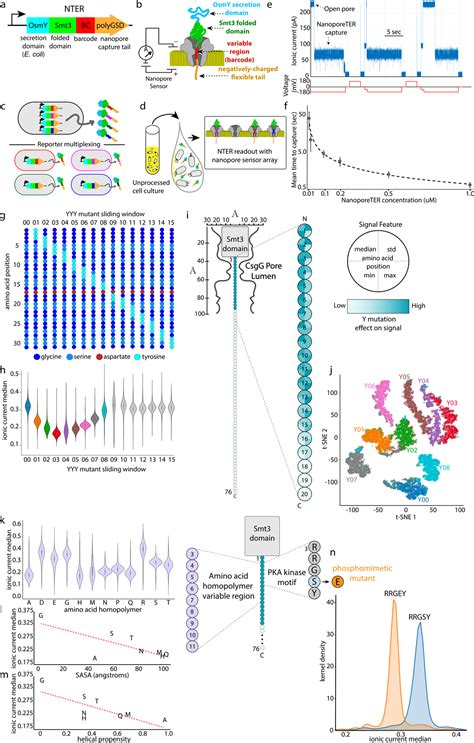 Multiplexed Direct Detection Of Barcoded Protein Reporters On A