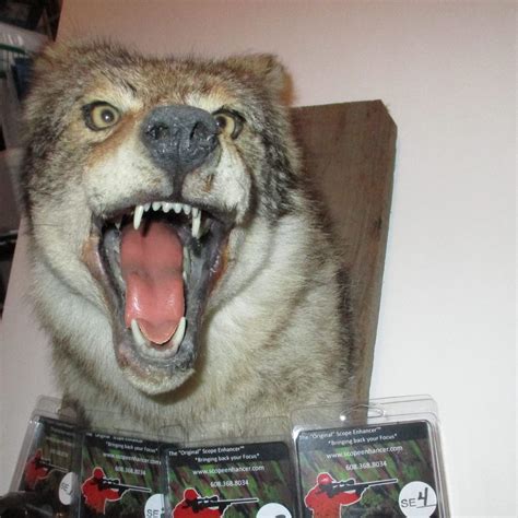 The Original Scope Enhancer The Original Scope Enhancer