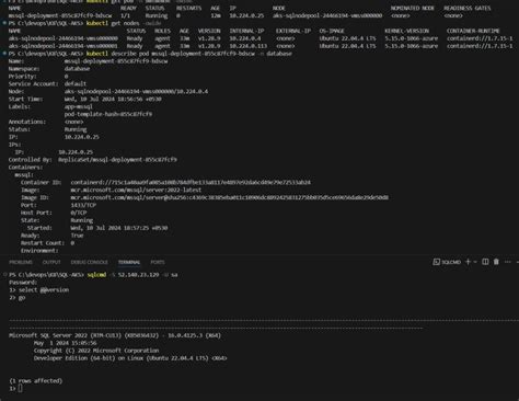 Deployed Sql Server Instance On Azure Kubernetes Service Naveen Kumar Posted On The Topic