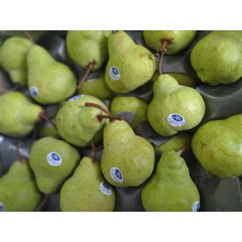 Jual Pear Packam 1 Kg Shopee Indonesia