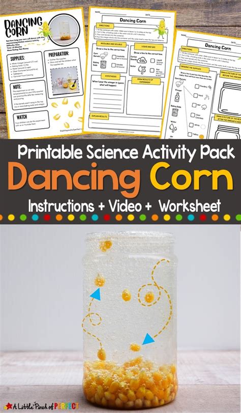 Dancing Corn Science Experiment Activity Pack A Little Pinch Of Perfect