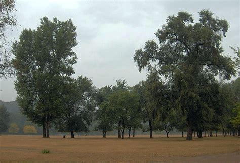 青海柴达木梭梭林国家级自然保护区图册360百科