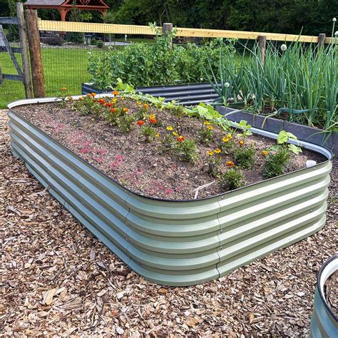 Read More About The Best Fertilizing Schedule For Your Raised Bed Garden